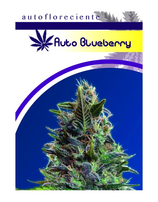 Auto Blueberys